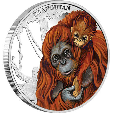 Tuvalu 2014 50c Mother's Love Orangutan 1/2oz Silver Coloured Proof Co ...
